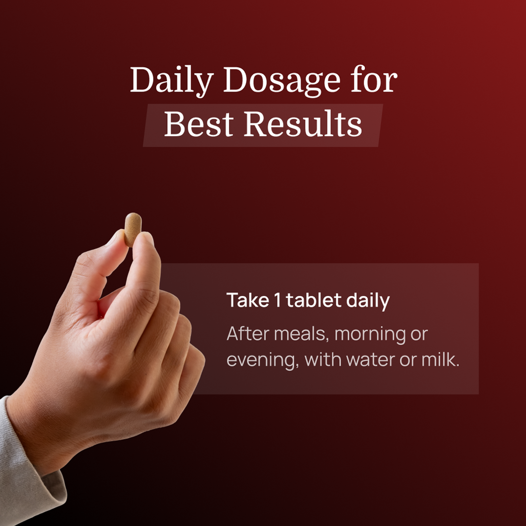 Testo Power – Classic Ayurvedic tablets for Strength, Drive, Energy ...